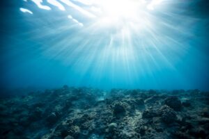 CARGOHOLIDAYS CARGO HOLIDAY VESSEL HOLIDAY SHIP HOLIDAY SEA HOLIDAY ...